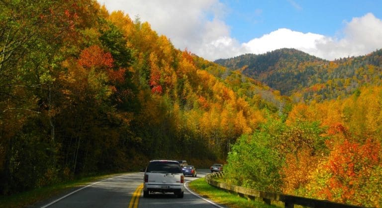 Fall Color and Foliage Guide for 2025