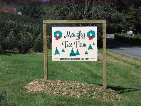 Mehaffey Tree Farm NC Christmas Trees