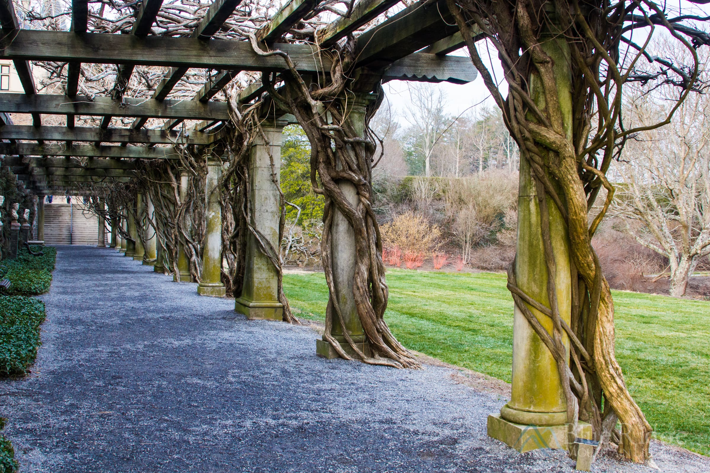 Biltmore Blooms - Spring at Biltmore