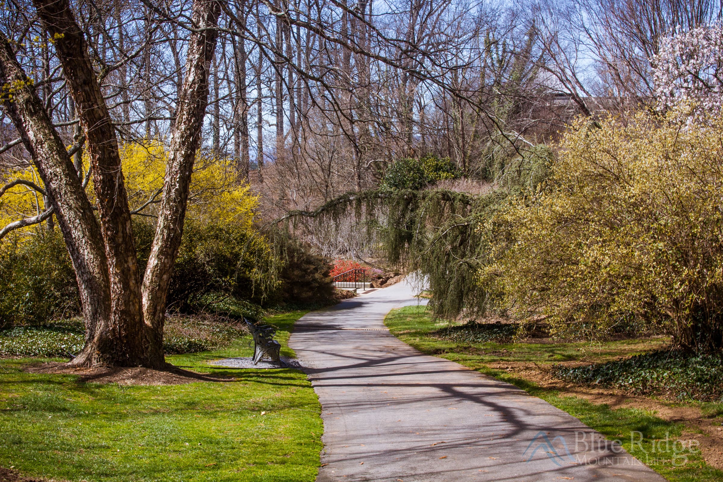Biltmore Blooms - Spring at Biltmore