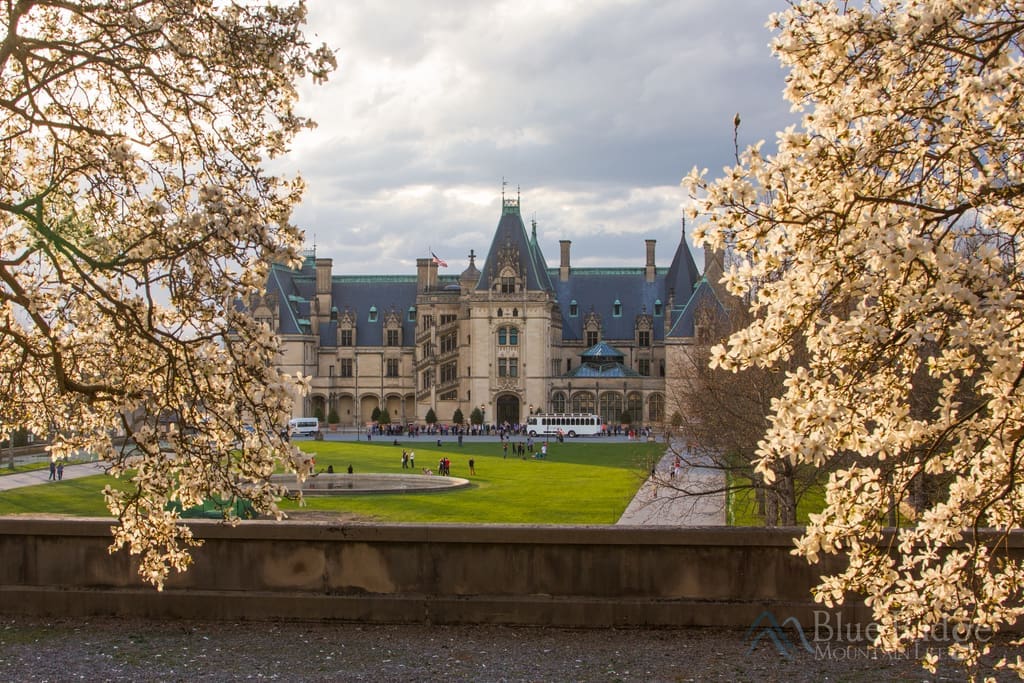 22 Absolutely Beautiful Places for Spring Blooms in the Blue Ridge ...