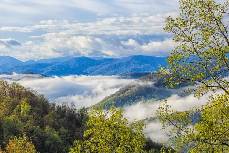 22 Absolutely Beautiful Places for Spring Blooms in the Blue Ridge ...