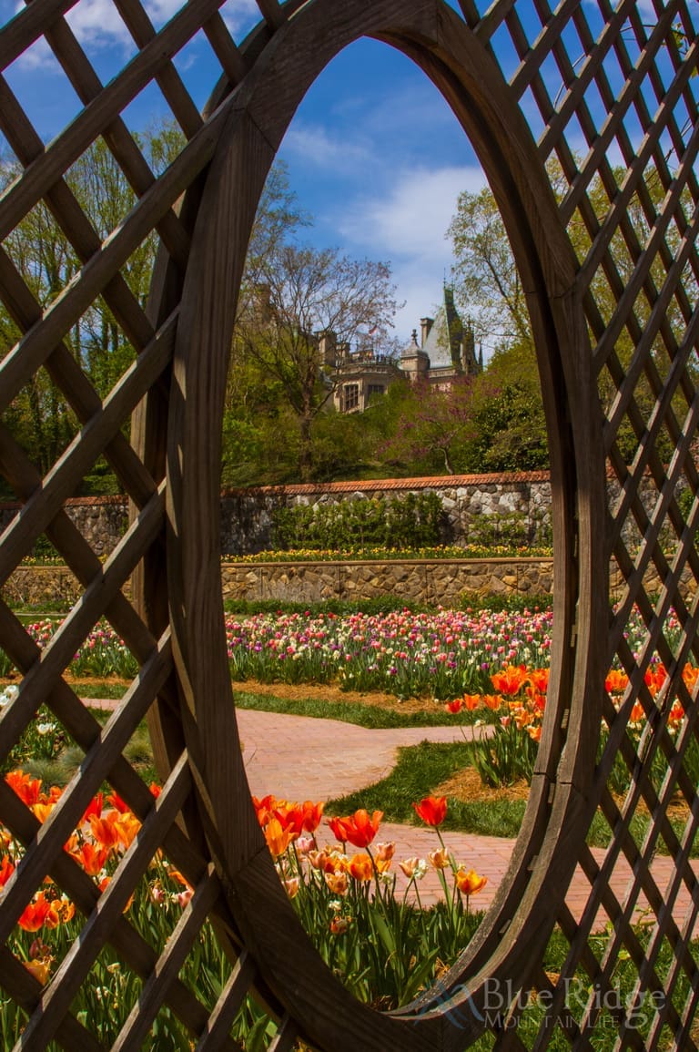 Biltmore Blooms - Spring at Biltmore