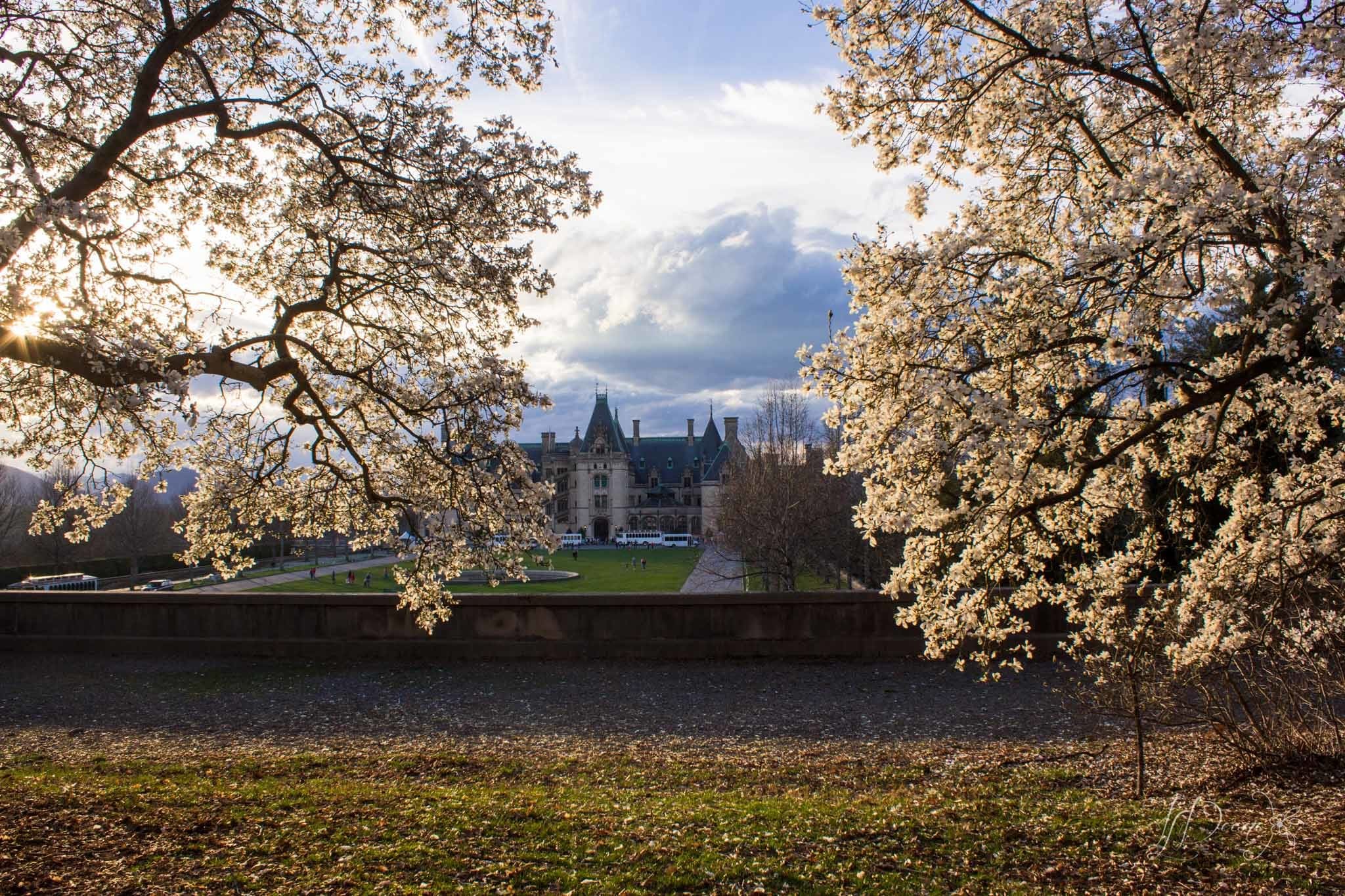 Biltmore Blooms - Spring at Biltmore