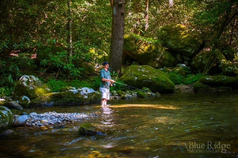 Summer Fun in the Blue Ridge Mountains