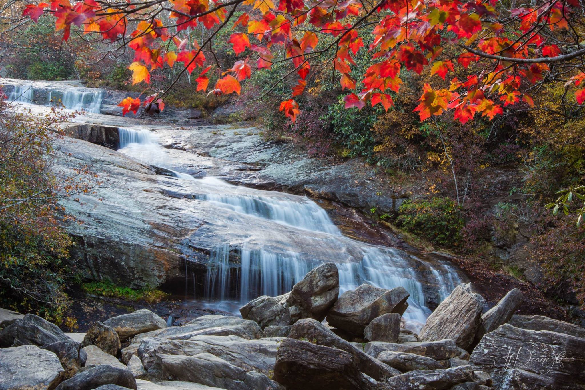 8 16 2018 Fall Foliage 2018 Forecast And Guide Georgia Vacation Rentals 8 16 2018 Fall Foliage 2018 Forecast And Guide Georgia Vacation Rentals