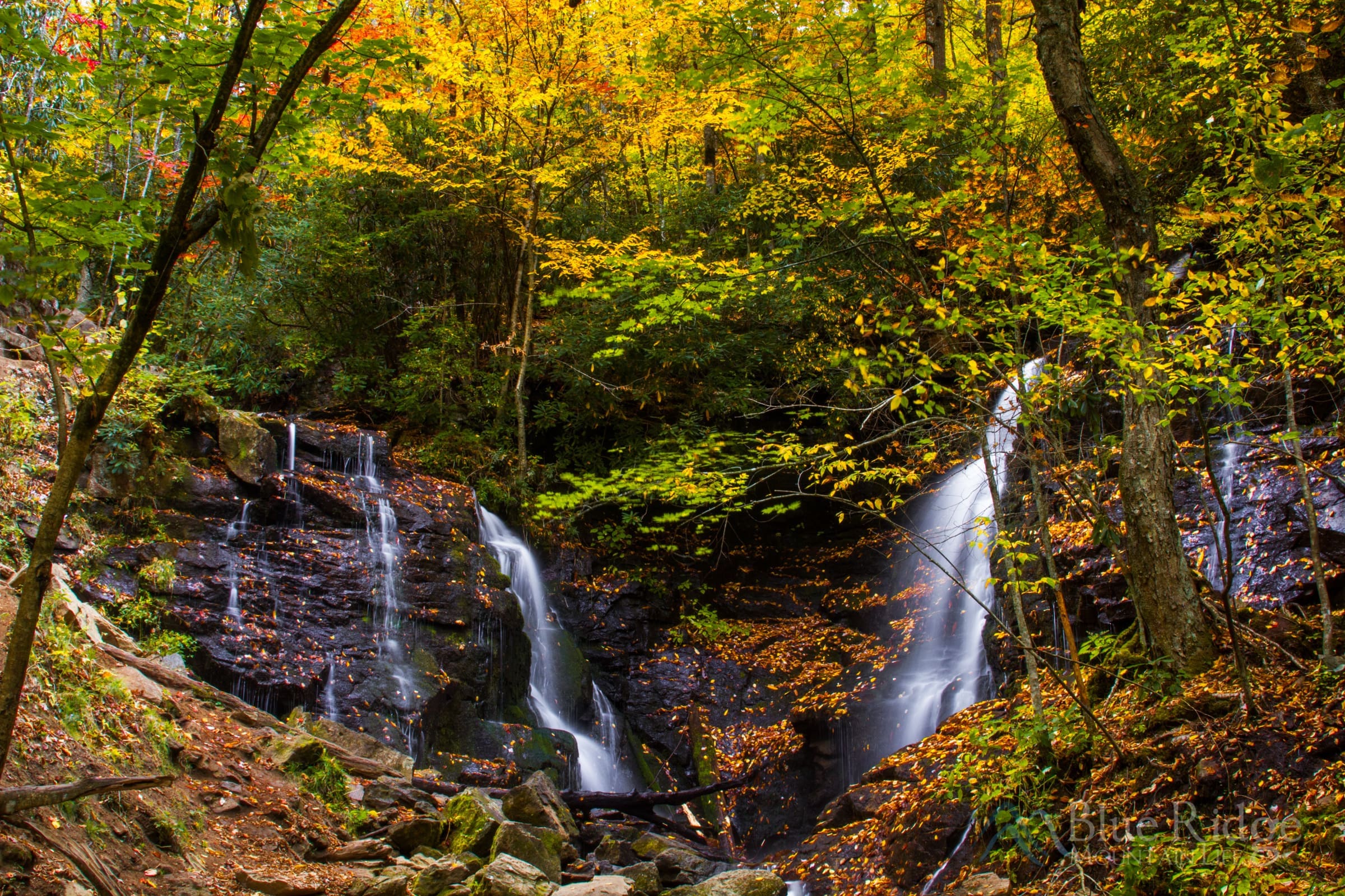 Fall Foliage 2021 Forecast And Guide Blue Ridge Mountain Life