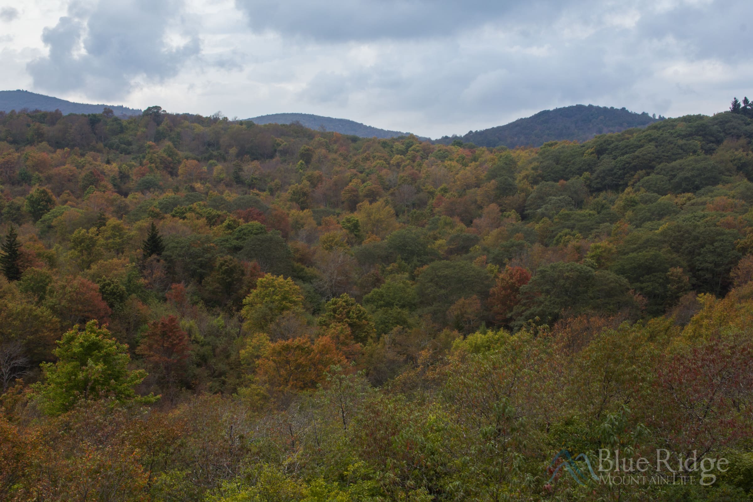 Fall Foliage 2018 Forecast and Guide - Blue Ridge Mountain Life