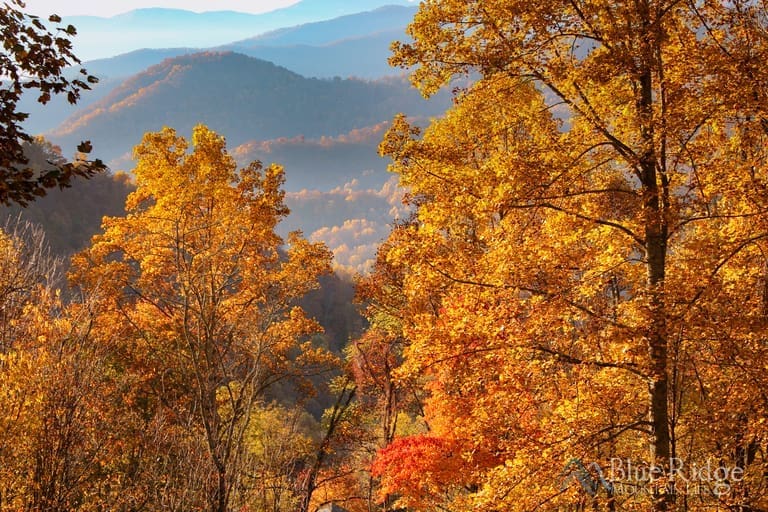 Fall Color and Foliage Guide for 2025