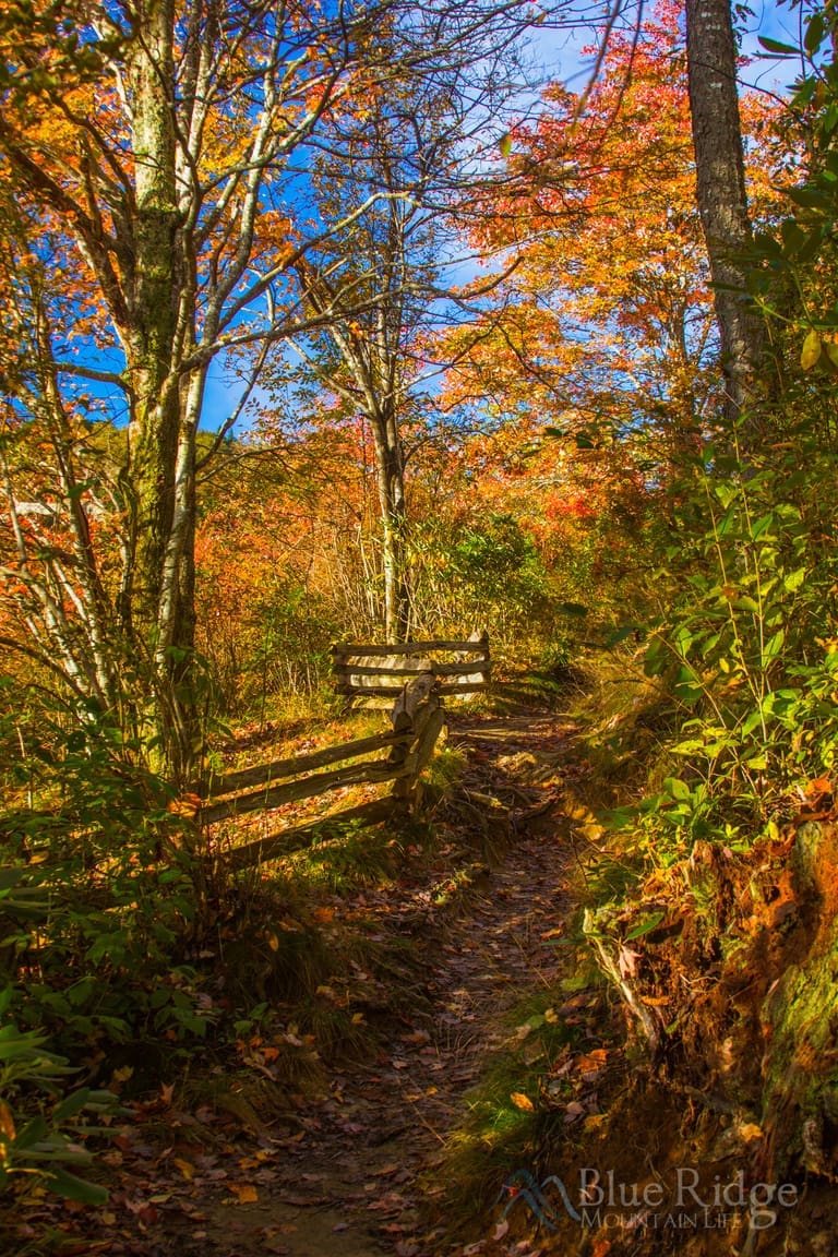 Blue Ridge Parkway – Top 22 Best Stops for Fall Color
