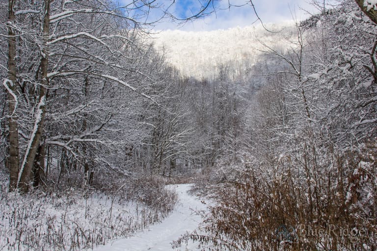 Top Winter Hiking Trails