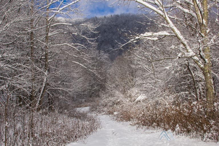 5 Things to do in the Blue Ridge during the winter