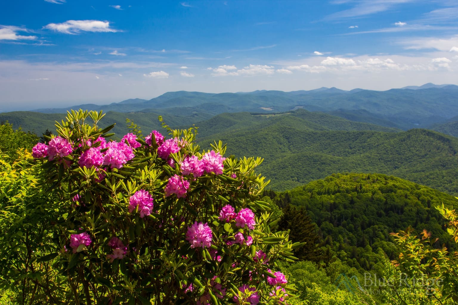 Best Places to take photos in Maggie Valley NC