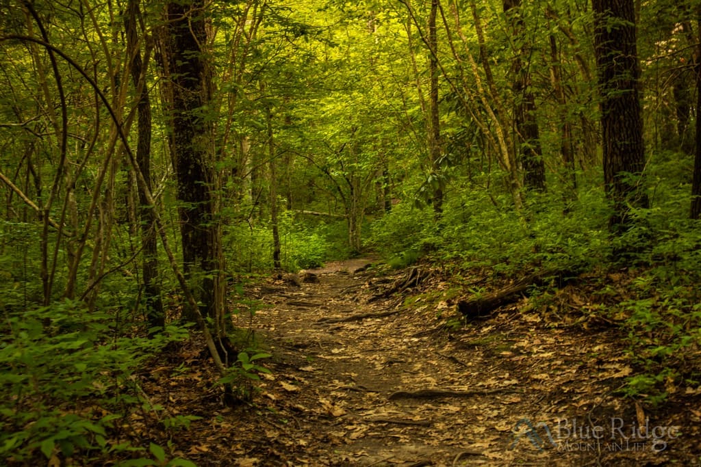 Schoolhouse Falls NC – Panthertown Valley