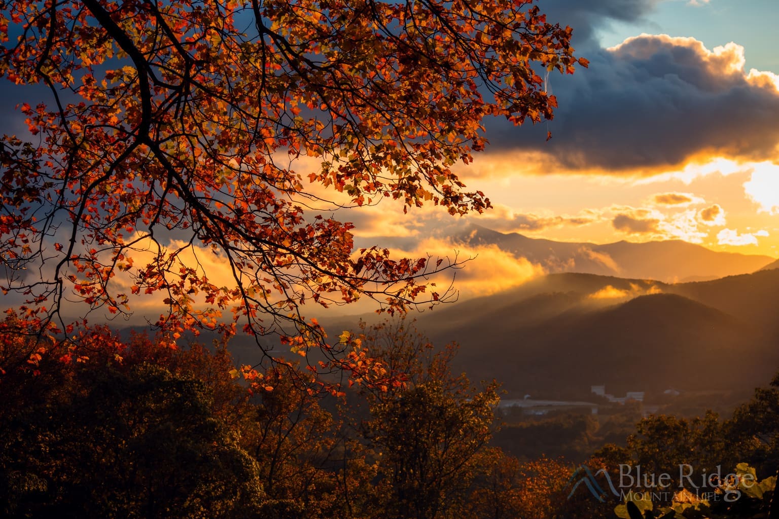 Fall Color and Foliage Guide for 2025