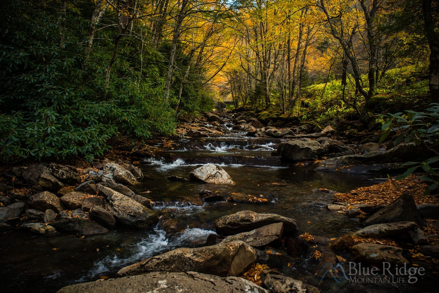North Carolina Mountains