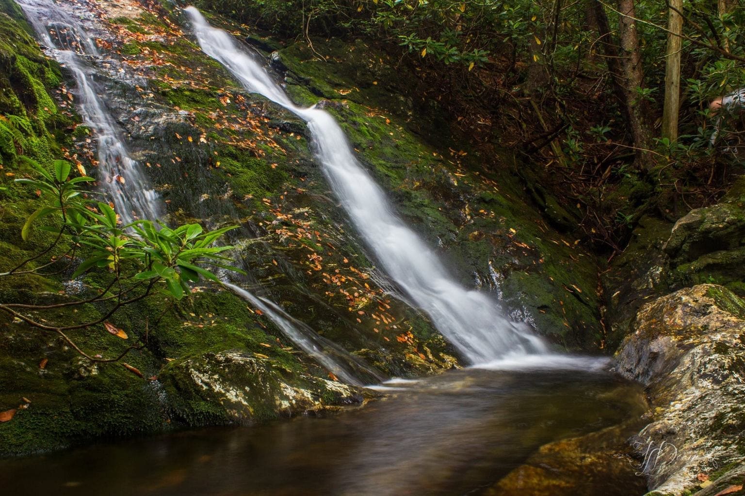 Lower Bubbling Spring Branch Falls