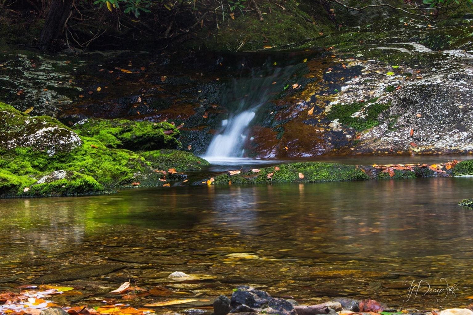 Lower Bubbling Spring Branch Falls
