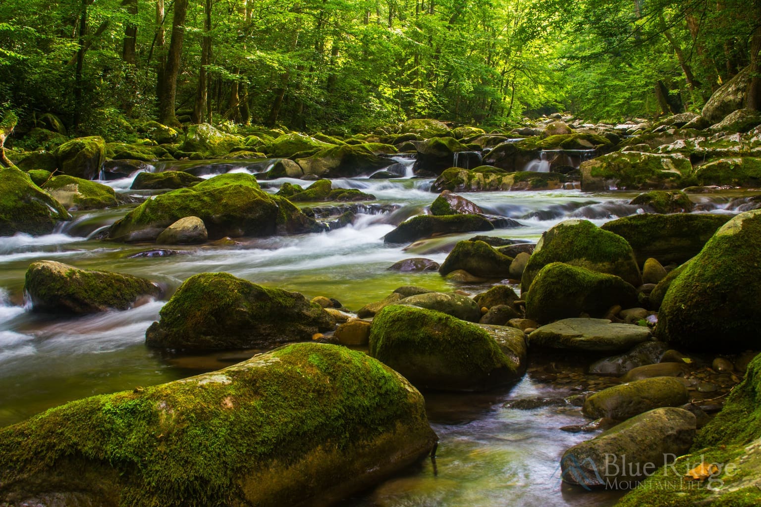 Big Creek Great Smoky Mountains National Park
