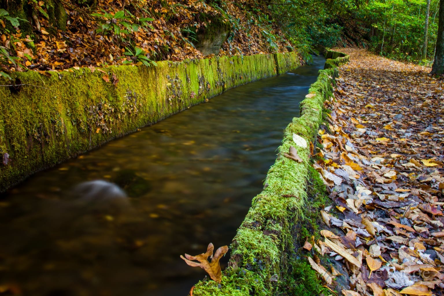 Mingus Mill