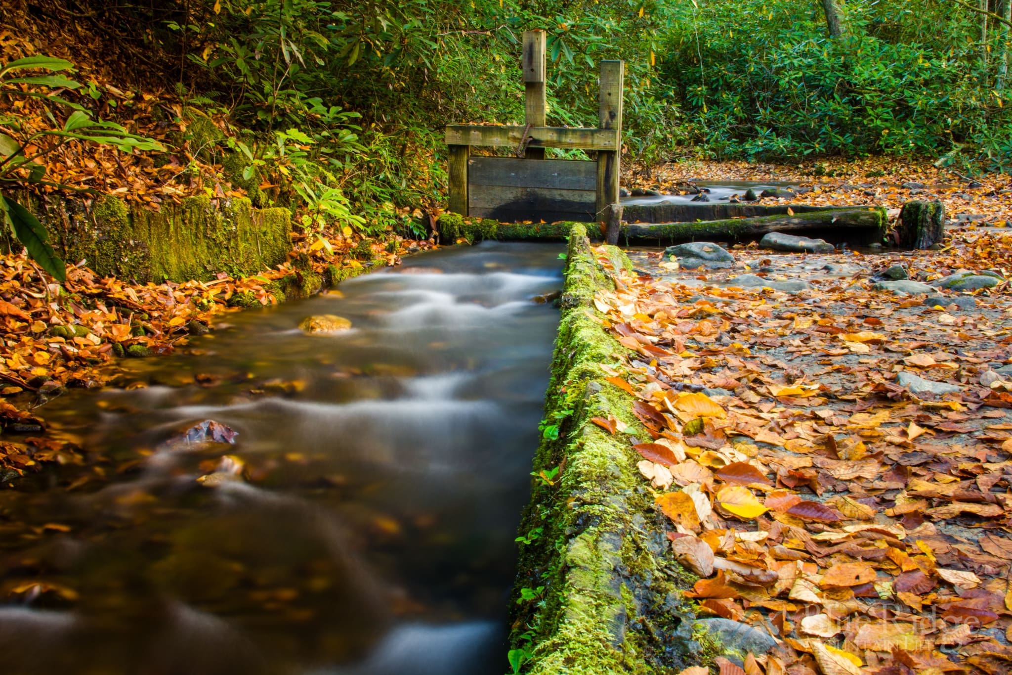 Mingus Mill
