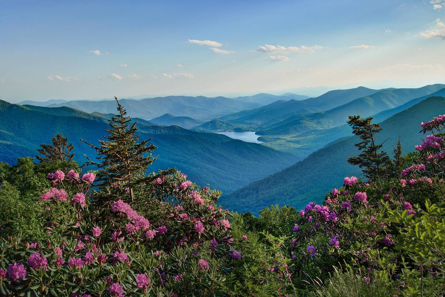 22 Absolutely Beautiful Places for Spring Blooms in the Blue Ridge ...