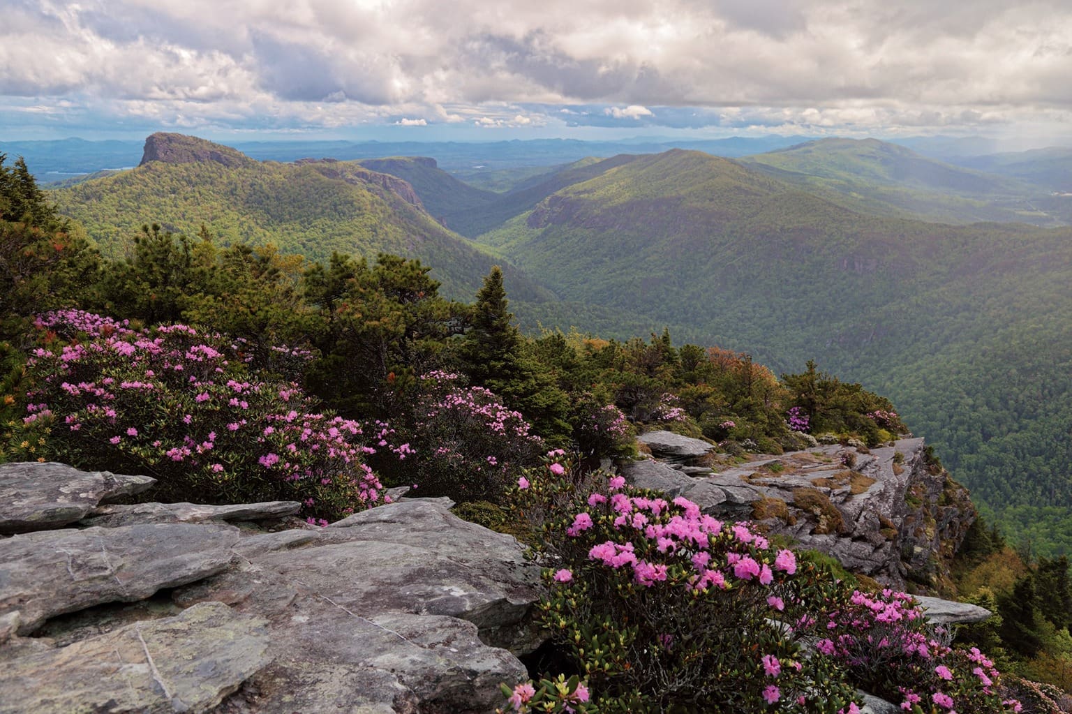 22 Absolutely Beautiful Places for Spring Blooms in the Blue Ridge ...