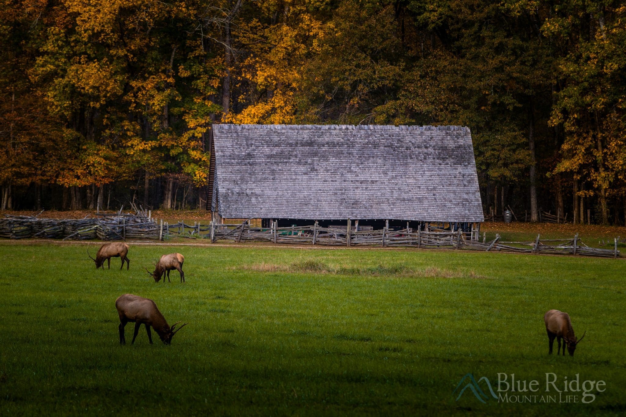 Newfound Gap Road – Great Smoky Mountains National Park