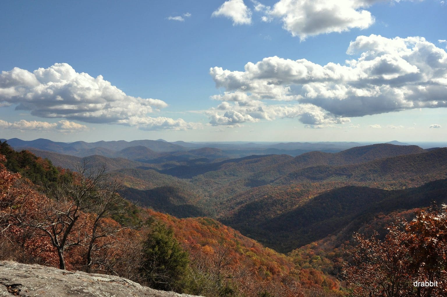 Top 20 Picnic Spots in the Blue Ridge Mountains