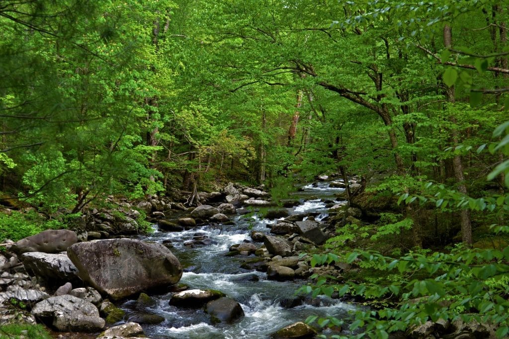 Great Smoky Mountains National Park Guide