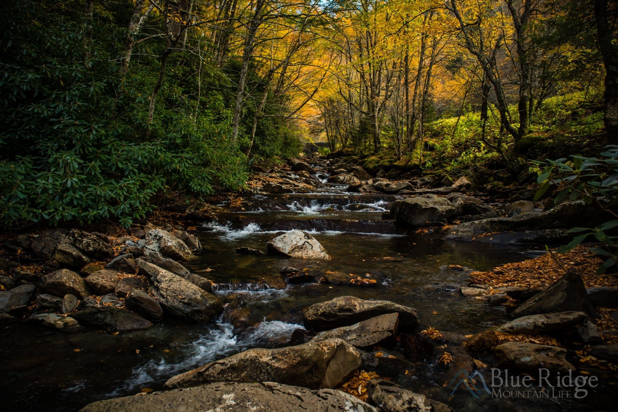 Newfound Gap Road – Great Smoky Mountains National Park