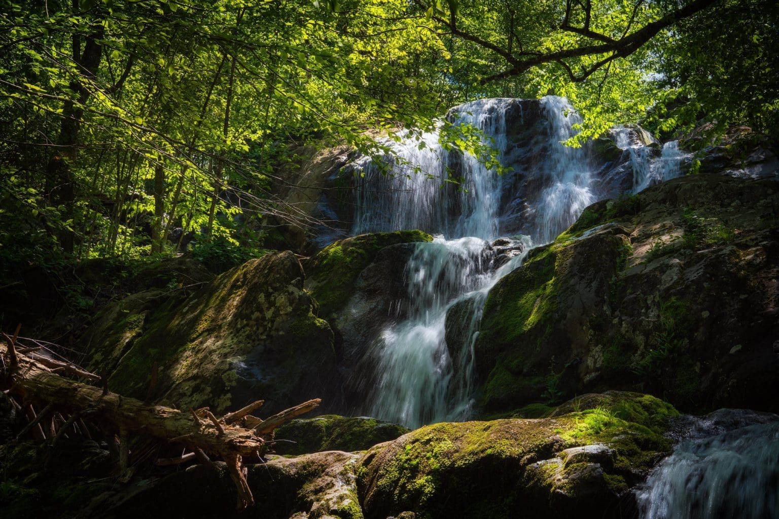 Skyline Drive–Virginia