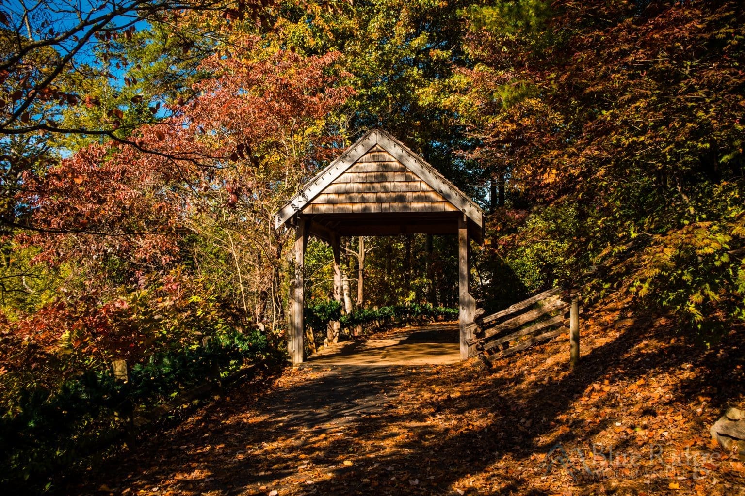 Fall Foliage 2021 Forecast and Guide - Blue Ridge Mountain Life
