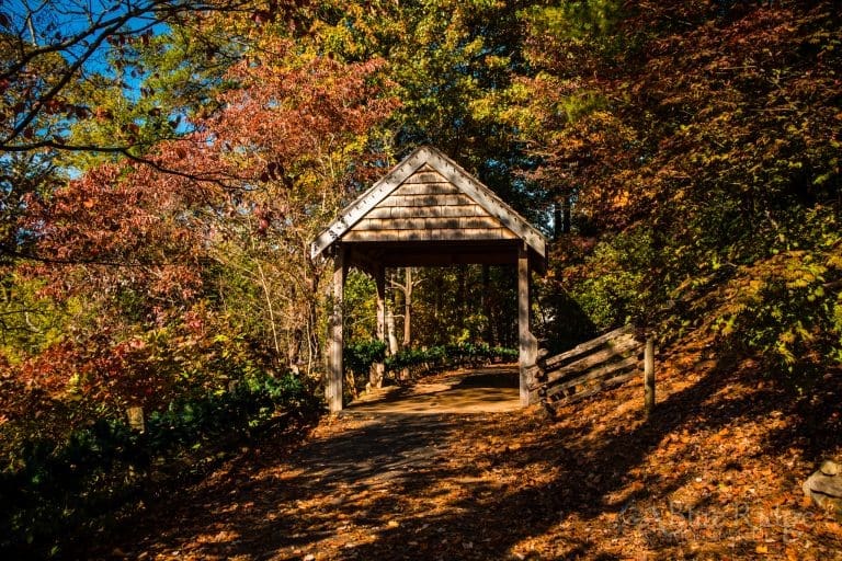 Helen GA Travel Guide