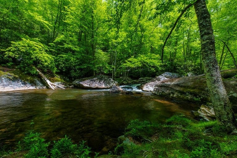 11 Top Hiking Trails near Boone NC