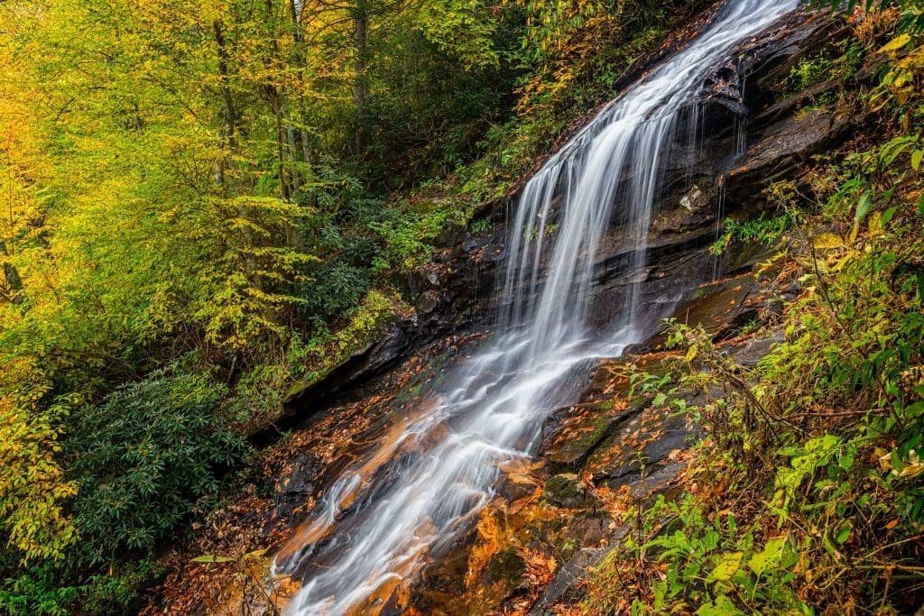 11 Top Hiking Trails near Boone NC