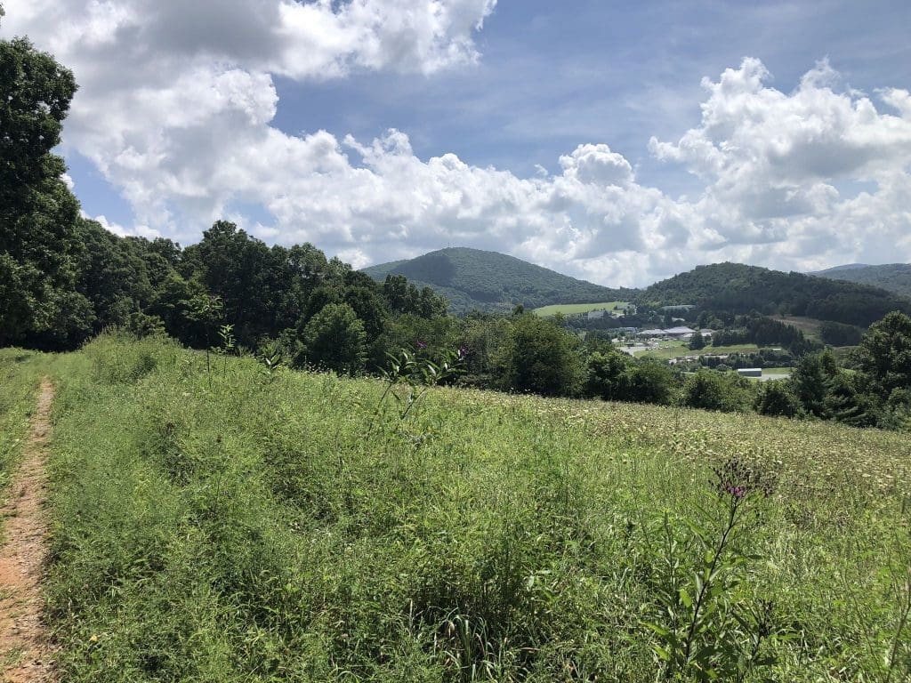 11 Top Hiking Trails near Boone NC