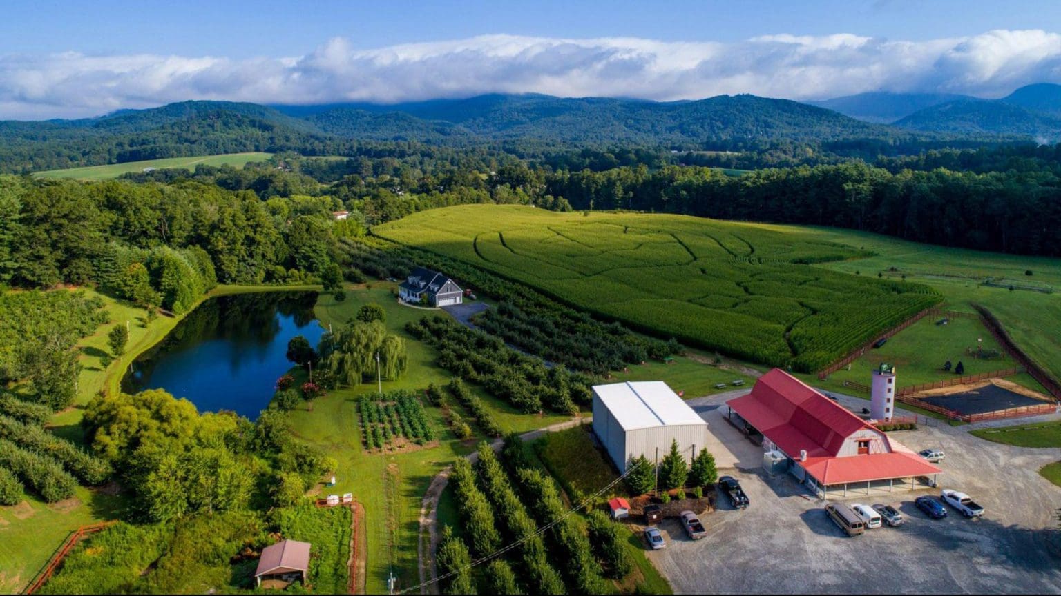 Top 12 Apple Orchards in the Blue Ridge Mountains