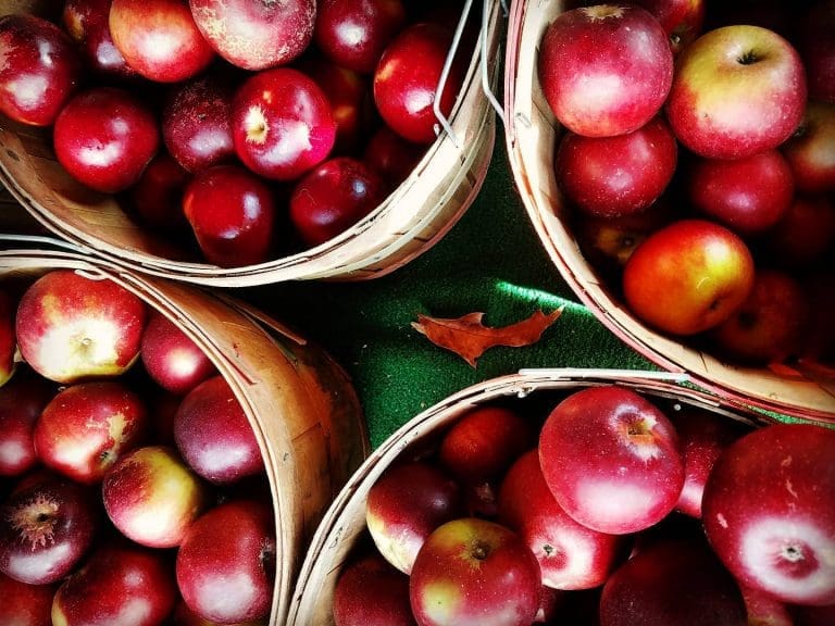 Top 12 Apple Orchards in the Blue Ridge Mountains