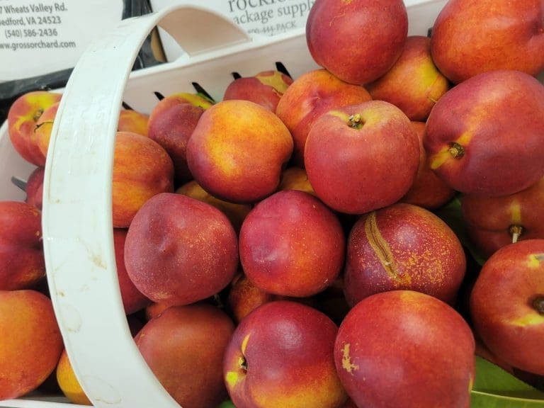 Top 12 Apple Orchards in the Blue Ridge Mountains