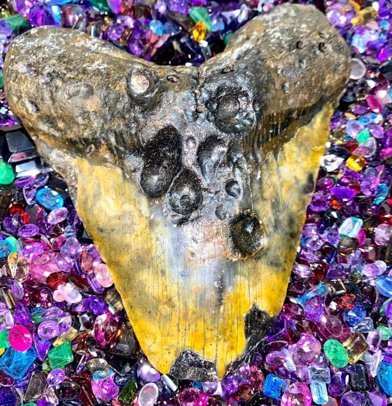 Gem Mining in the Blue Ridge Mountains - Our Top Picks