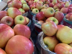 Top 12 Apple Orchards in the Blue Ridge Mountains