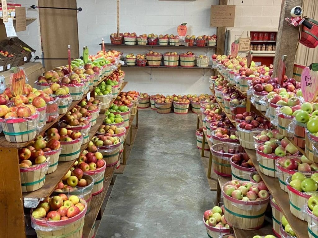 Top 12 Apple Orchards in the Blue Ridge Mountains