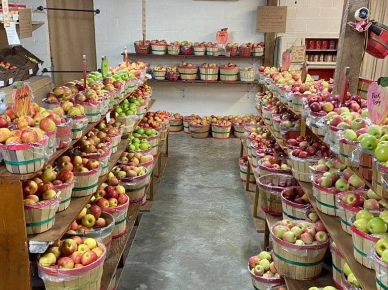 Top 12 Apple Orchards in the Blue Ridge Mountains