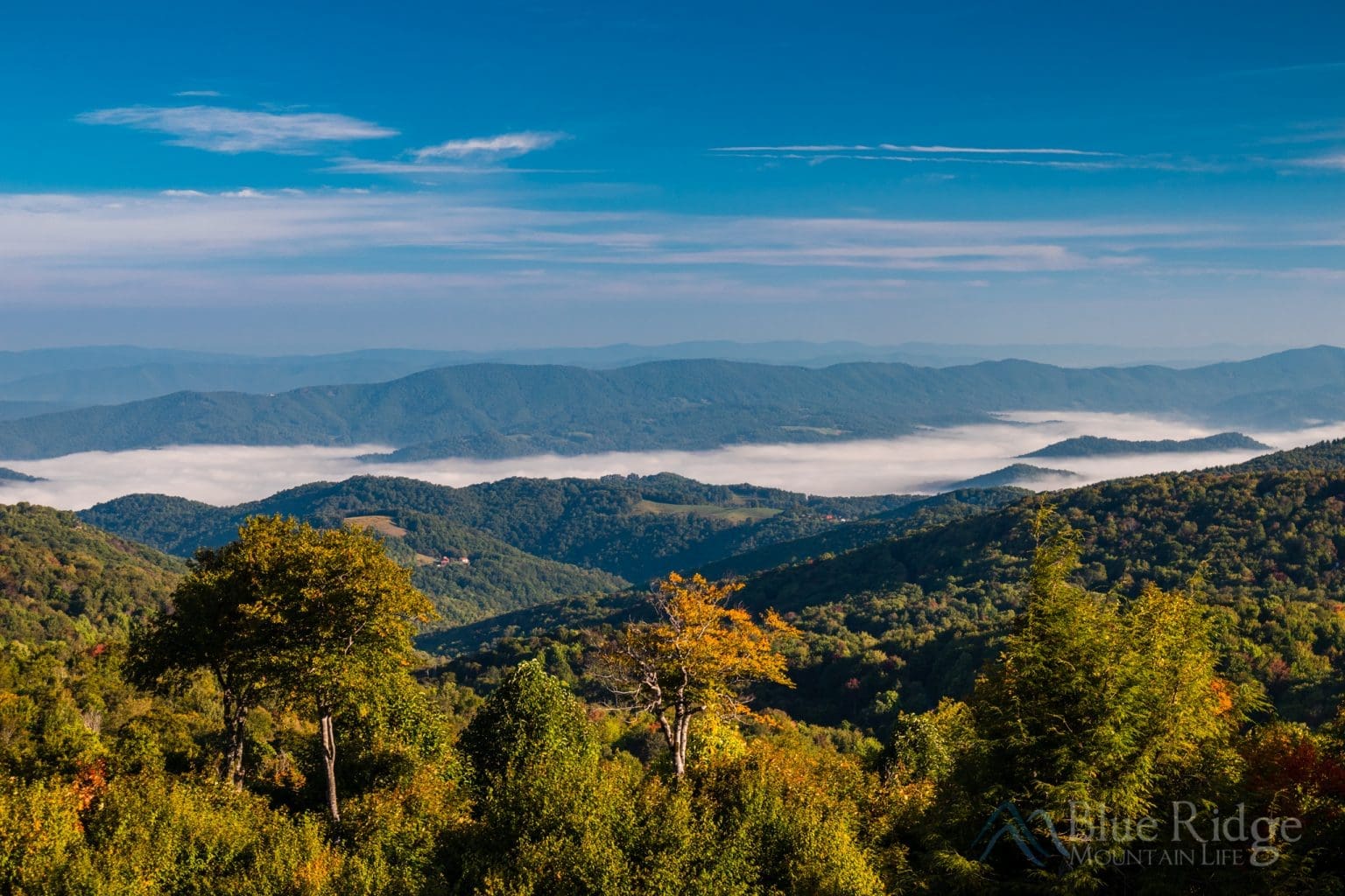 15 Best Things To Do in Beech Mountain NC