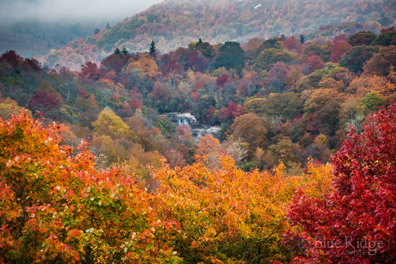 Fall Foliage 2022 Forecast and Guide - Blue Ridge Mountain Life
