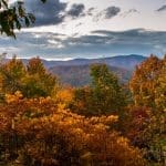 Fall Foliage 2022 Forecast and Guide - Blue Ridge Mountain Life