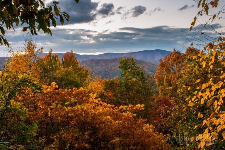 Fall Foliage 2022 Forecast and Guide - Blue Ridge Mountain Life