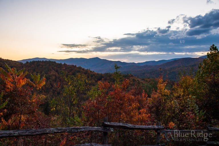 Fall Foliage 2022 Forecast and Guide - Blue Ridge Mountain Life
