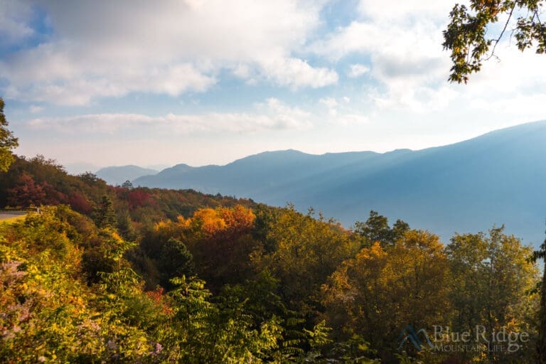 Fall Foliage 2022 Forecast and Guide - Blue Ridge Mountain Life